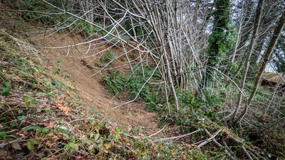 Grange Hall - Grays River Grange #124